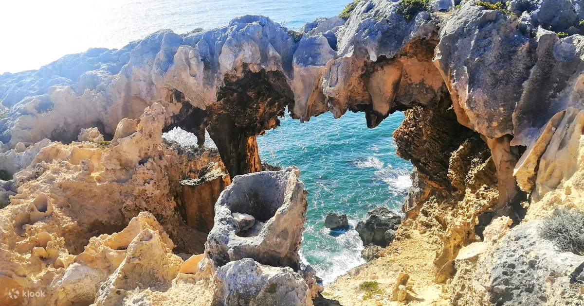 Tour de 4 días al Lago Rosa, Kalbarri y el Sudoeste Definitivo de WA - Klook Estados Unidos